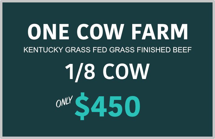 Kentucky Grass Fed Grass Finished Beef - One Cow Farm